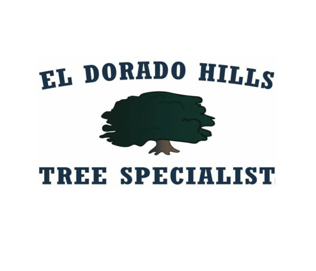 El Dorado Hills Tree Specialist